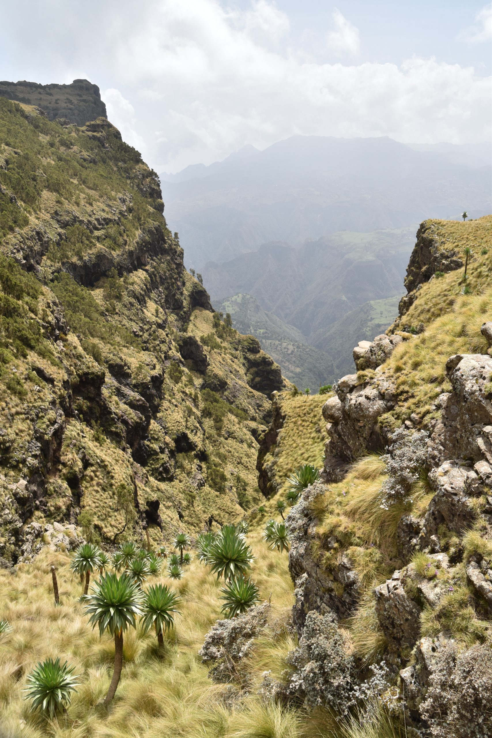 How to climb Ras Dashen - Ethiopia's highest peak | mountain paths